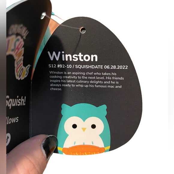 Squishmallows | Toys | Winston The Owl With Fanny Pack 2 Bnwt | Poshmark